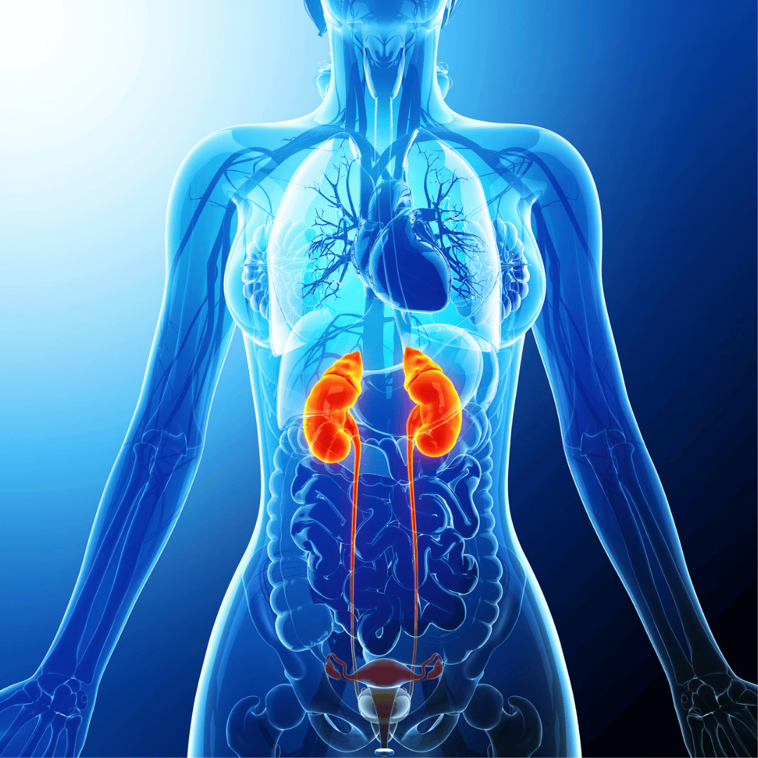 Urinary Tract Infections In Kids - Dr. Green Mom