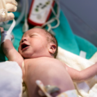 All About Vernix: Should It Be Washed Off? - Dr. Green Mom