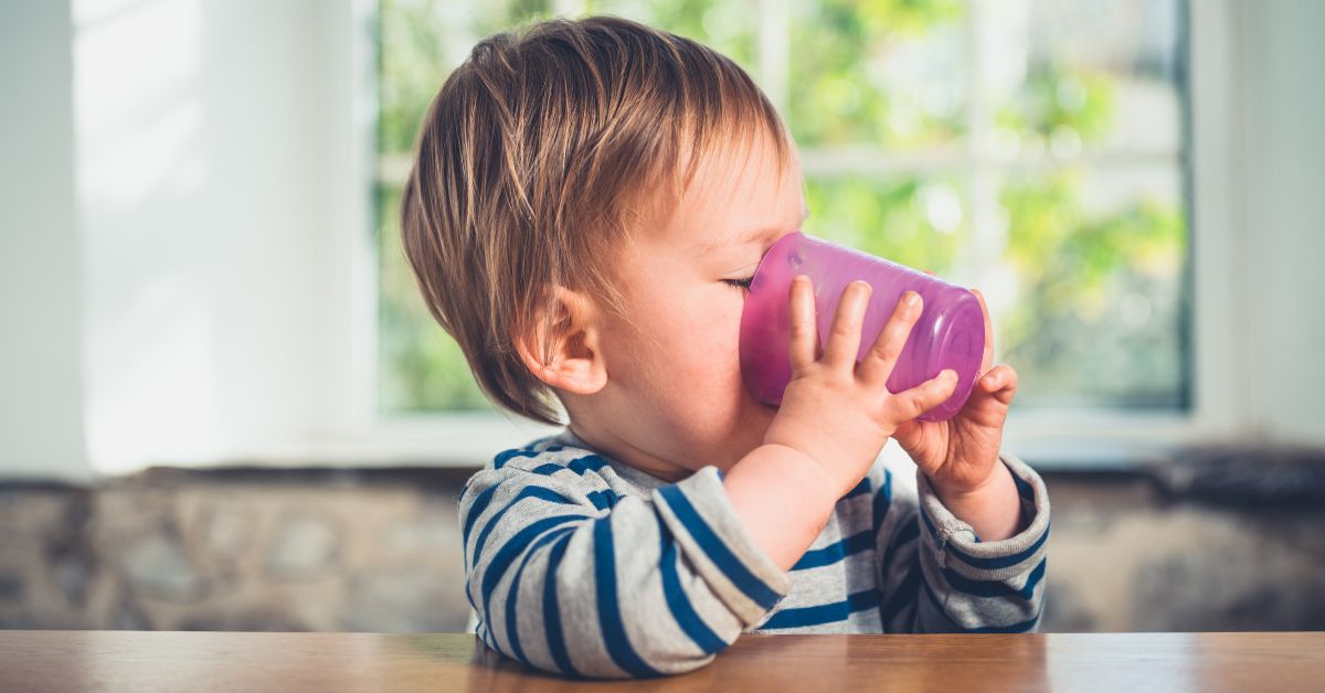 Introducing Whole Milk to Toddlers: What Parents Should Know - Dr ...