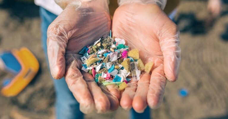Microplastics in Fish: What Parents Need to Know - Dr. Green Mom